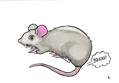 Shona Taylor ⋆ Art & Illustration